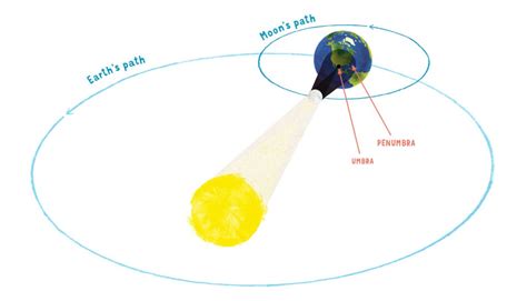 Dont Miss The Solar Eclipse David Baldacci