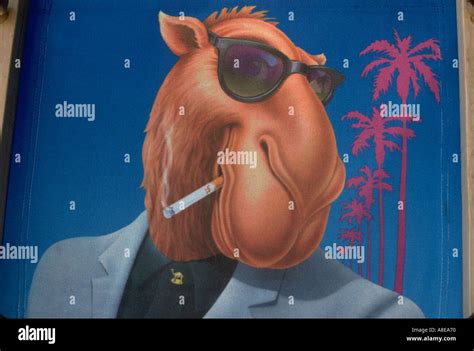 Joe Camel Cigarettes Ads