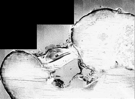 weird segmentation results · issue 139 · dana farber aios pathml · github