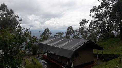 Kerala Munnar Photo Gratuite Sur Pixabay Pixabay