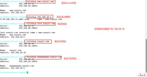 【linux网络】本地dns服务器搭建 linux 本机dns新添加一条映射记录视频教程 csdn博客