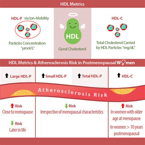 Hdl High Density Lipoprotein Metrics And Atherosclerotic Risk In Women Arteriosclerosis