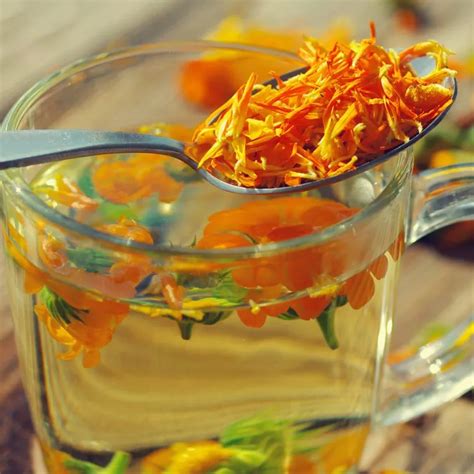 Cempasúchil Casa Bartolo