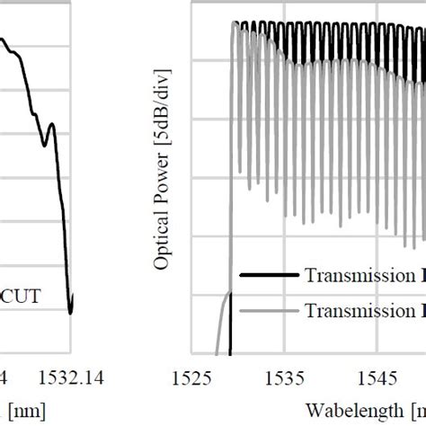 Schematic Of The Dwdm Experimental Setup Including The Tx And Rx Dsp Download Scientific