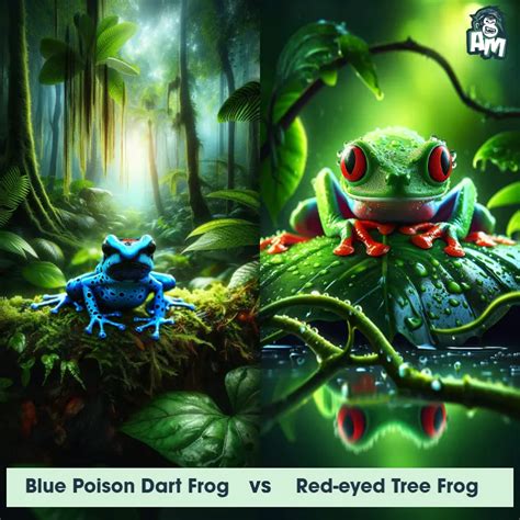 Blue Poison Dart Frog Predator Prey Interactions Fights And