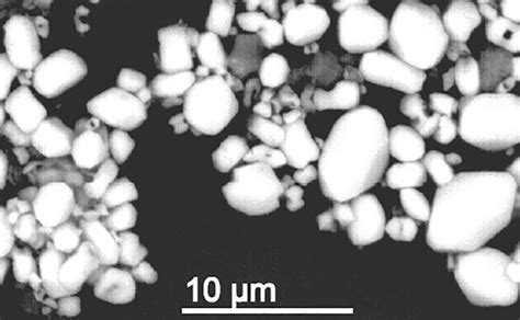 Scanning Electron Microscope Sem Image Of Marine Pelagic Barite Download Scientific Diagram