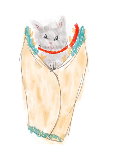 Cat Burrito Album On Imgur