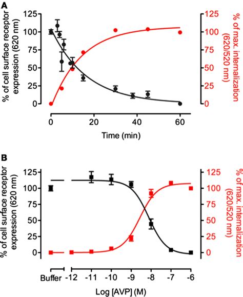 Comparison Between Deret Based Internalization Assay And Measure Of Download Scientific Diagram Comparison Between Deret Based Internalization Assay And Measure Of Download Scientific Diagram