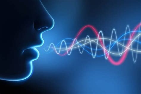 Audio Forensic Analysis Voice Authentication Speaker Identification