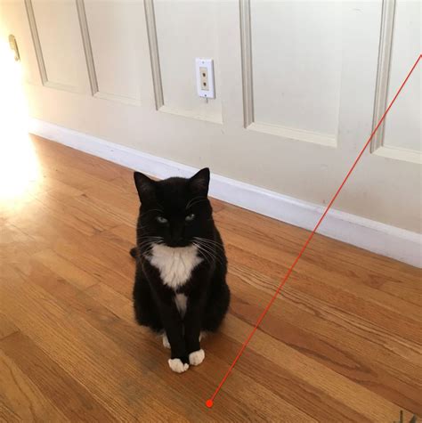 Laserkitty:激光逗猫神器 Make 趣无尽 Laserkitty:激光逗猫神器 Make 趣无尽