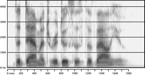 Spectrogram Segmenting Practice
