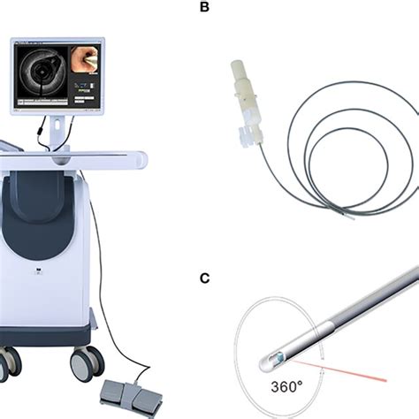 Showed The System Of Eb Oct A Present The Host Of Eb Oct The Probe