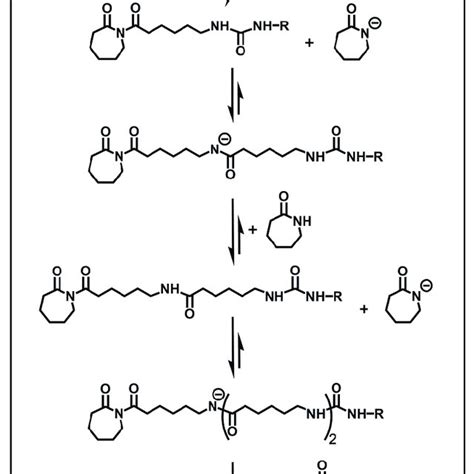 Scheme 1 Anionic Ring Opening Polymerization Arop Of ε Caprolactam