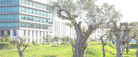 Sonae Shaping Tomorrow Today Sonae