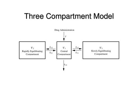 What Is A Compartmental Model At Kimberly Bosch Blog