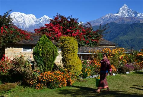 The Dhampus Village Hike Nepal Inside Himalayas