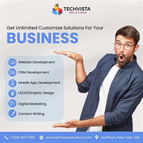 Get Unlimited Customized Solutions For Your Business Techvista