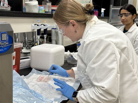 Qanda With Dr Alexandra Piotrowski Daspit Tailoring Delivery Of Gene