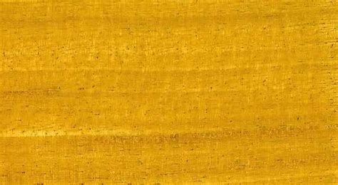 Bois De Movingui Scierie En Espagne Majofesa