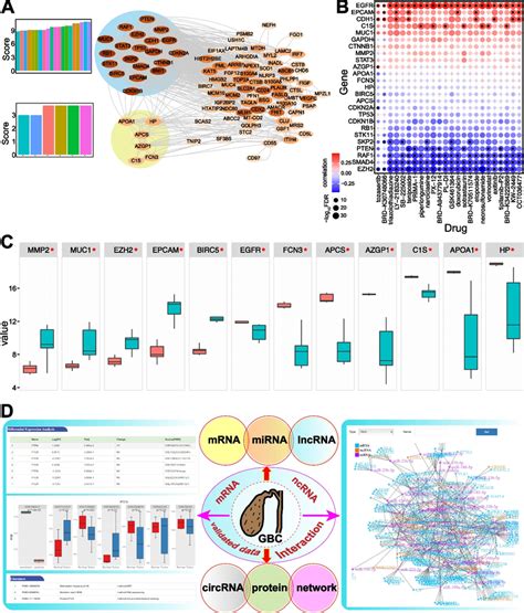 A Primary Analysis Of Experimentally Supported Gbc Associated Proteins Download Scientific