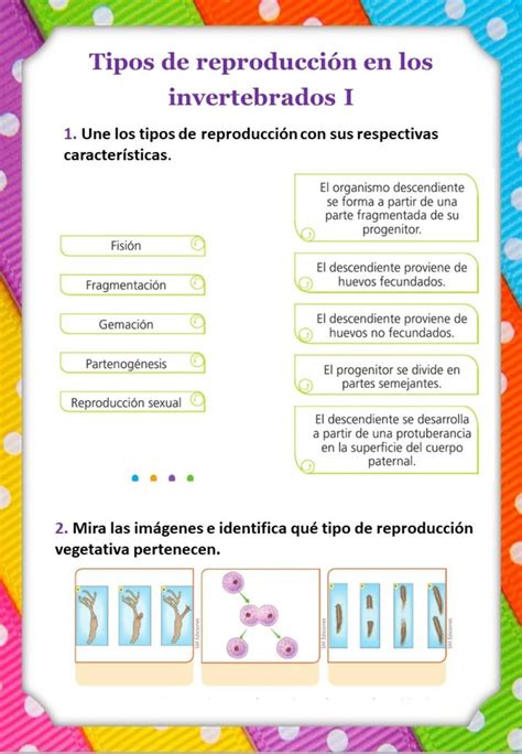 Fenomenos Naturales Personal Social Worksheet Artofit