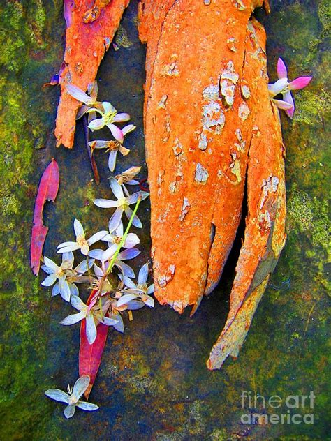 One Life Photograph By Christine Rufflet Fine Art America