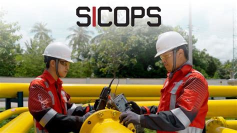 Sicops Ndt Competency Analysis Software