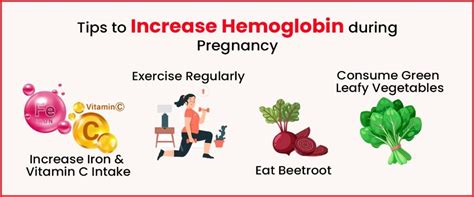 Haemoglobin Levels Causes Risks And Treatment Imprimis Ivf