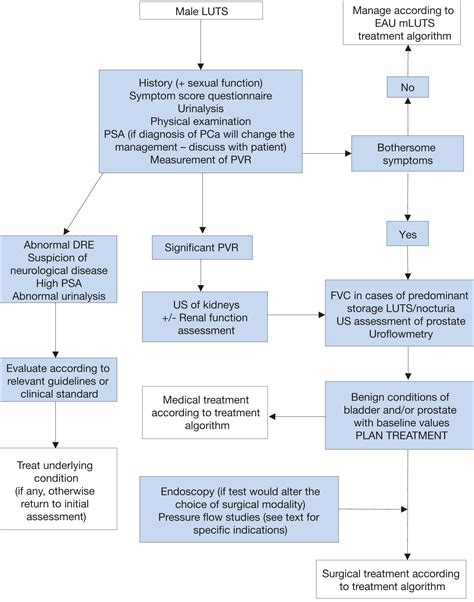 Management Of Non Neurogenic Male Luts Diagnostic Evaluation Uroweb
