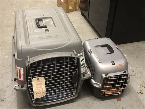 Cat Boxes Album On Imgur