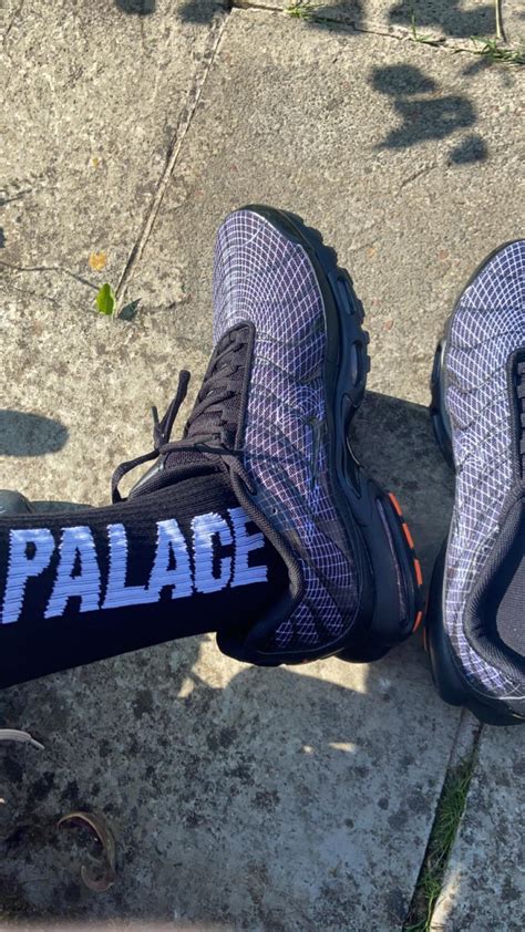 What Air Max Tn Colour Way Is This Been Looking For Ages R Sneakers