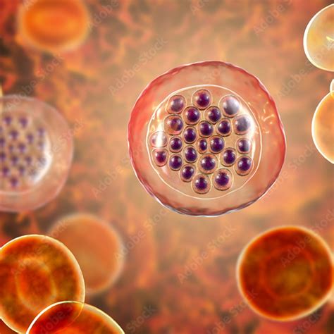 London Calling 2023 Nanopore Sequencing For Real Time Genomic