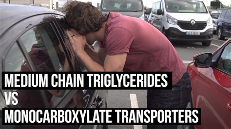 Minding Your Mcts Medium Cain Triglycerides And Monocarboxylate Transporters High Intensity