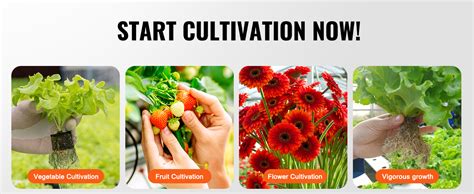 Vevor Hydroponics Growing System 108 Sites 3 Layer Hydroponic Grow Kit