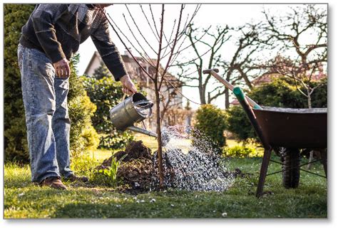 Summer Fruit Tree Care Clackamas County Master Gardener™ Association