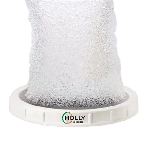 Ozone Diffuser 12 Inch Nano Bubble Diffuser For Aquaculture Diffuser