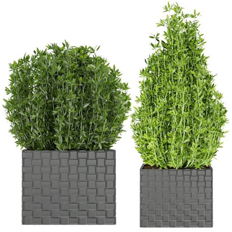 Artstation Collection Plant Vol 22 Leaf Blender 3dmax Cinema 4d Resources Plants