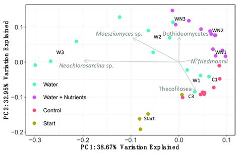 Principal Coordinate Analysis Pcoa Ordination Plot Of Eukaryotic