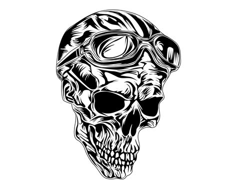 Vintage Human Skull Angry Human Skull Collection In Different Position
