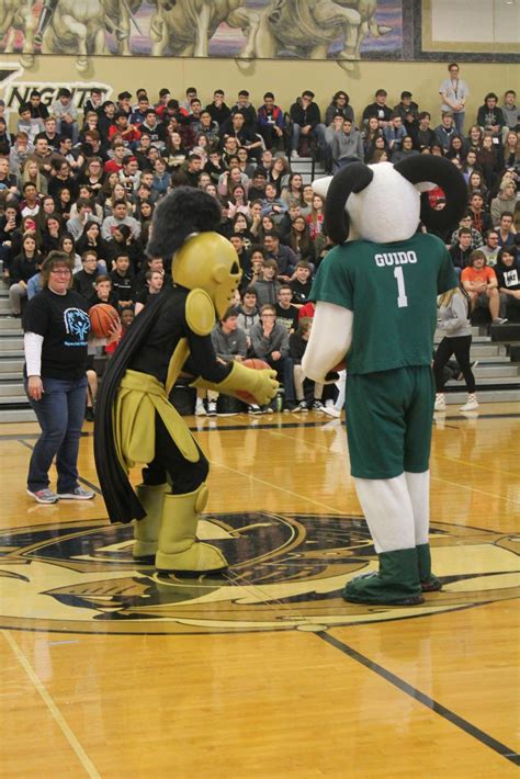 Tina Woolard Wins Athletic Director Of The Year Knights Media