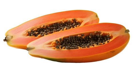 Melon Tree Bilder Stock Fotos And Videos Adobe Stock