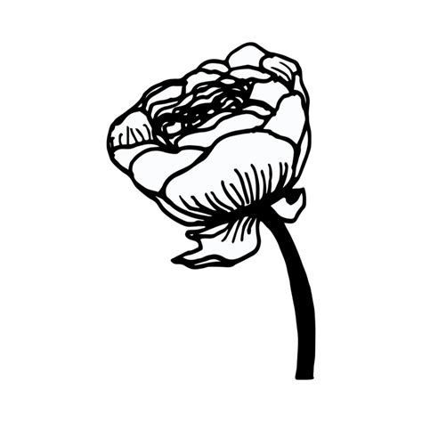 Top 5 Reasons To Use Body Powder Twinkle Apothecary