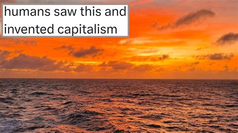 what is the humans saw this and invented excel meme the viral social