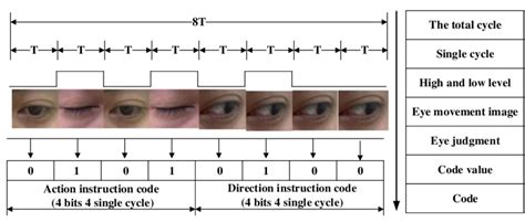 Binary Encoding And Human Eye Action Instruction Download Scientific Diagram
