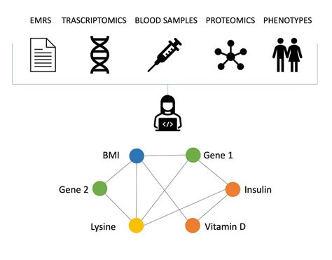 networks of biomarkers showcase the underlying relationships between