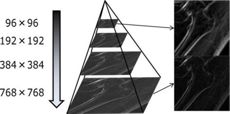 coarse to fine multiresolution optimization strategy download