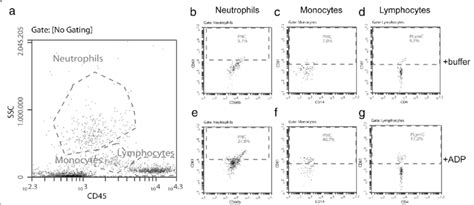Flow Cytometric Features Of Leukocytes Neutrophils Monocytes And Download Scientific Diagram