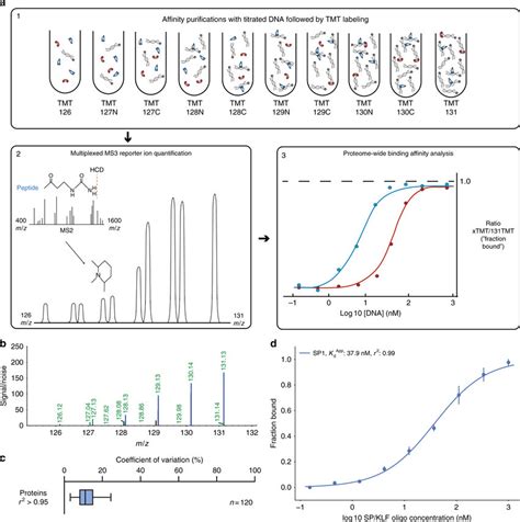 Benchmarking Proteindna Kdapp Measurements With The Spklf Consensus