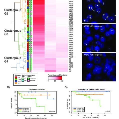 Intra Tumor Heterogeneity During Disease Progression Download Scientific Diagram