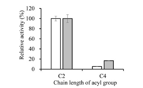 Substrate Specificity Of The Δ20 And Δ54 Mutants Download Scientific Diagram Substrate Specificity Of The Δ20 And Δ54 Mutants Download Scientific Diagram